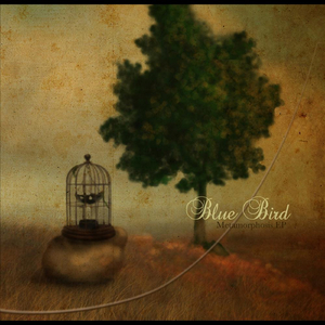 Metamorphosis-Blue Bird-mp3免费在线下载播放-歌曲宝-找歌就用歌曲宝-MP3音乐高品质在线免费下载