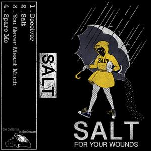 Salt-Salt-mp3免费在线下载播放-歌曲宝-找歌就用歌曲宝-MP3音乐高品质在线免费下载