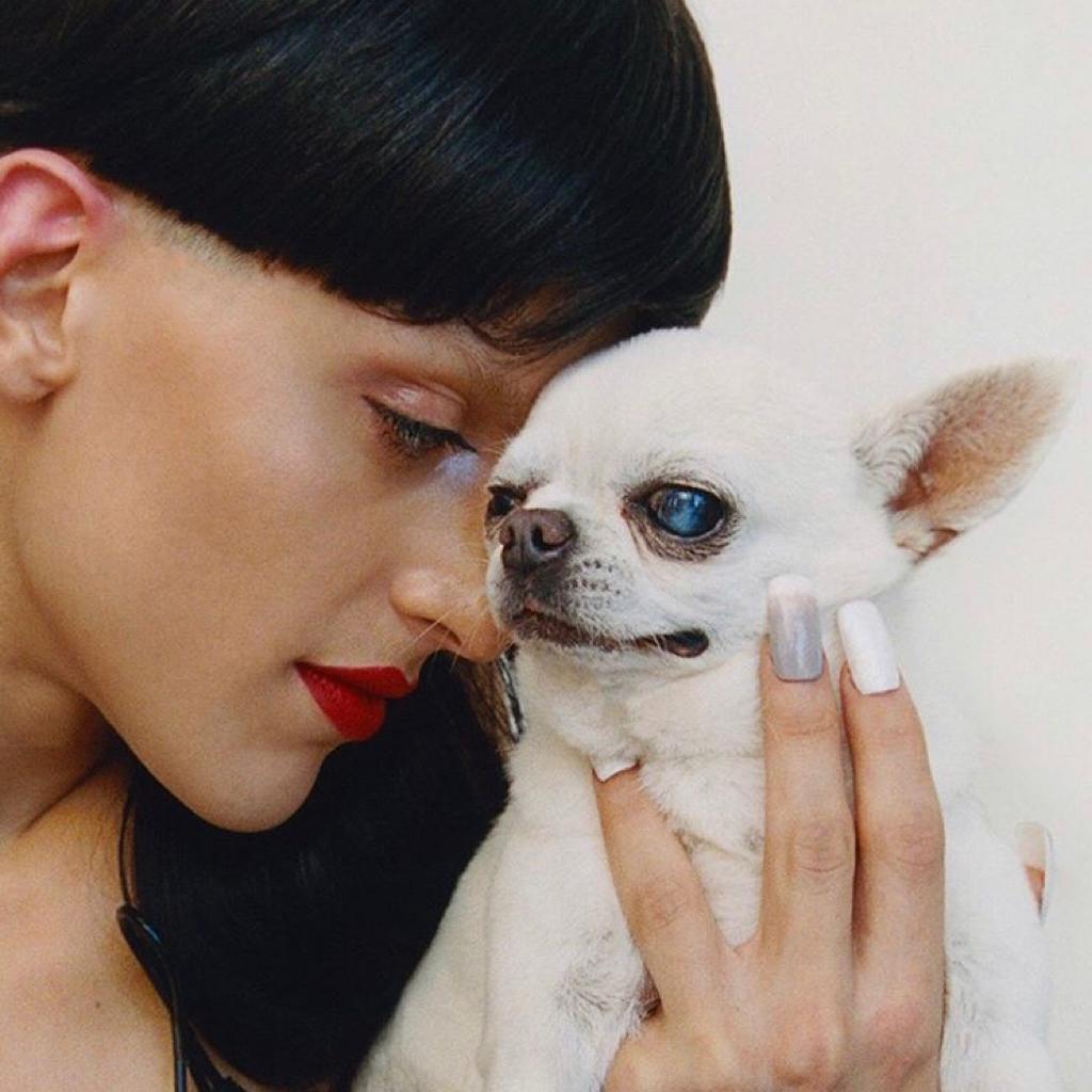 Arca Credits - 歌单 - 网易云音乐